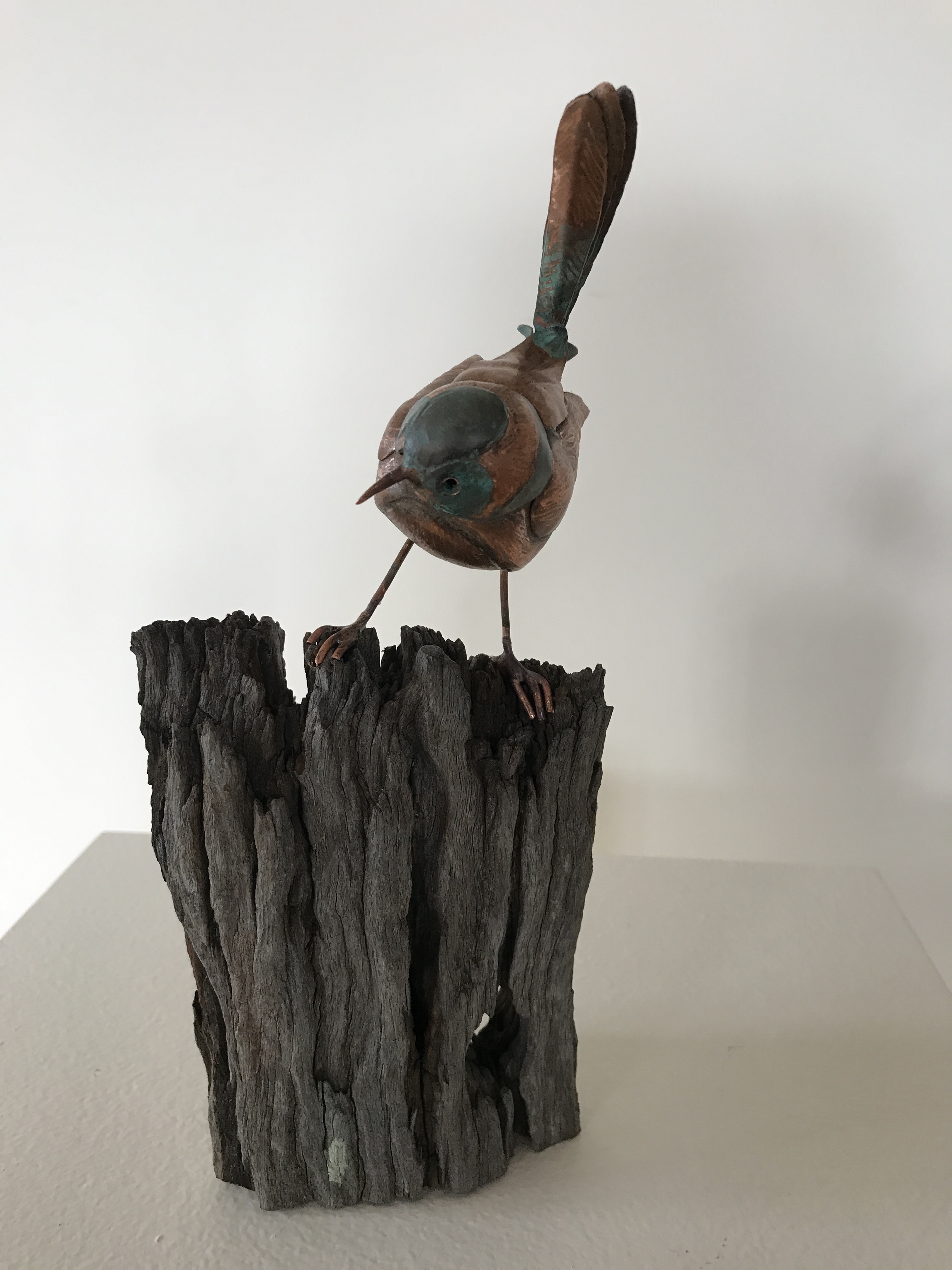 Blue Wren (2) – David Hamilton